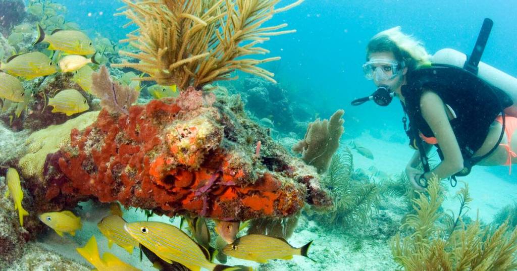 The Best Places to Go Scuba Diving and Snorkeling in the U.S ...